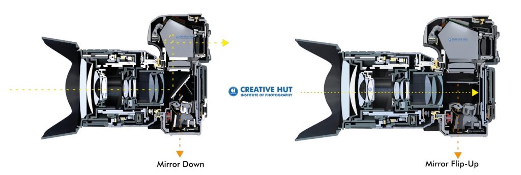 What is a DSLR Camera? | Understanding of Digital Single Lens Reflex