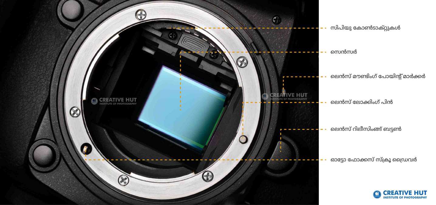 Lens structure and function by Abin Alex