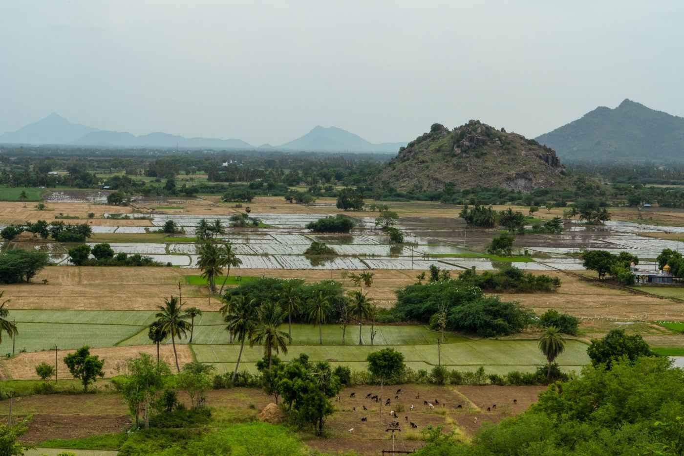 Embark on a Journey Through Captivating Village Landscapes