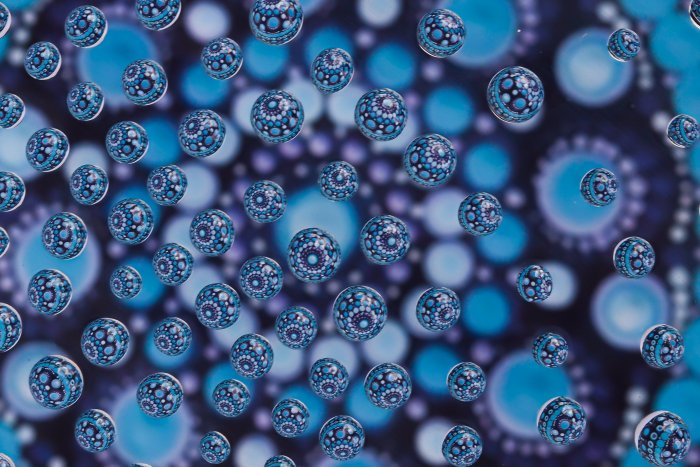 Inverted Vision by Sanal Sunny