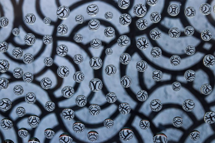 Inverted Vision by Sanal Sunny