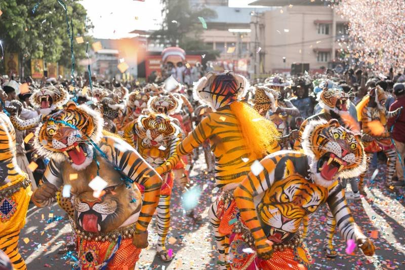 Striped Spirits | By Anandu V | Trivandrum | Creative Hut