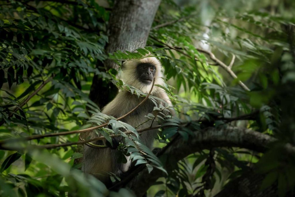 Wild Visions | Akash V Nair | Alappuzha, Kerala | Creative Hut