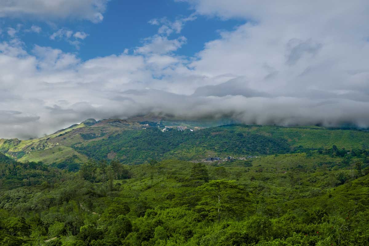 Ecoparadise | By Arunkumar M | Tamil Nadu | Creative Hut