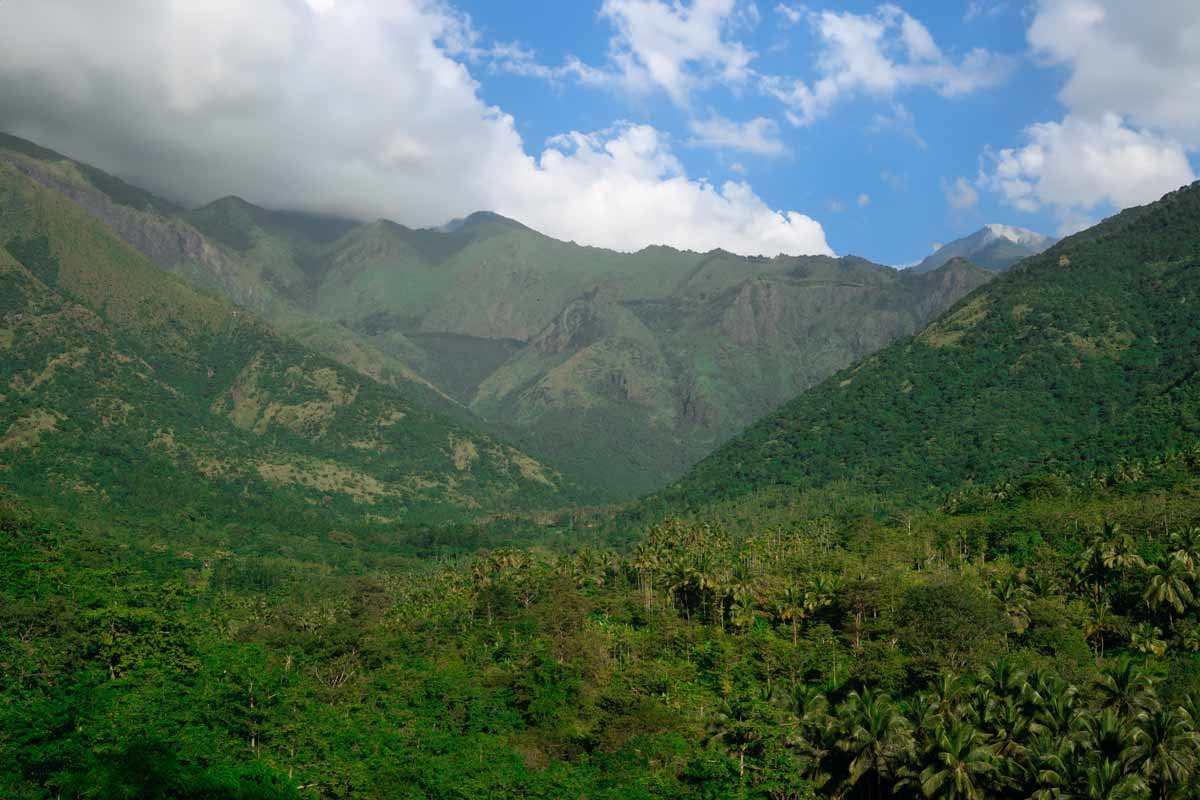 Ecoparadise | By Arunkumar M | Tamil Nadu | Creative Hut